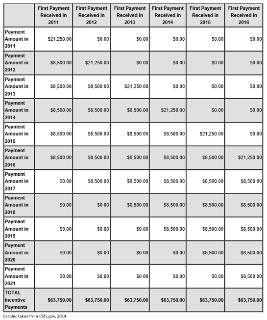 Another Year of Meaningful Use