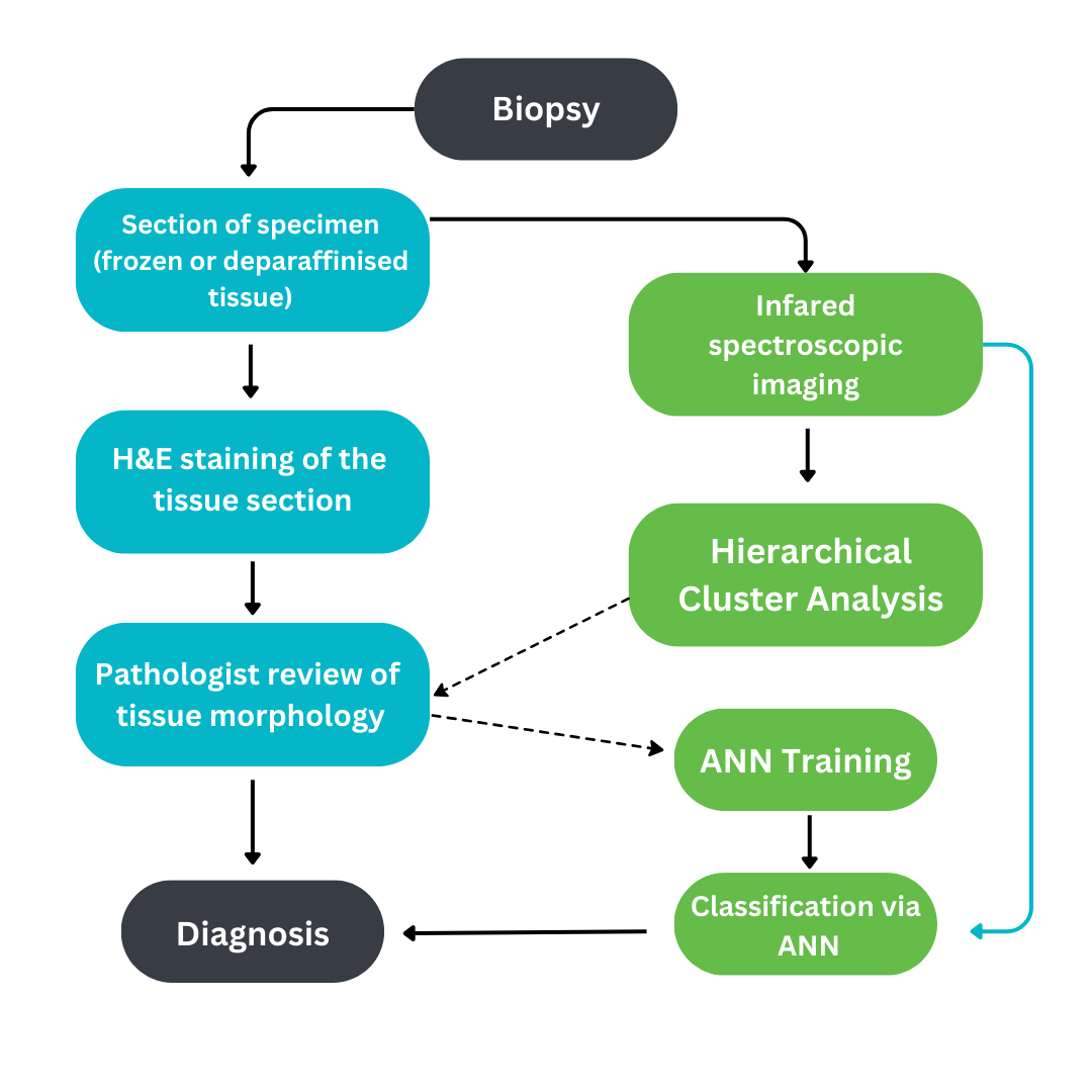 Medical Standard Operating Procedures | Nextech