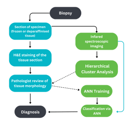Medical Standard Operating Procedures | Nextech