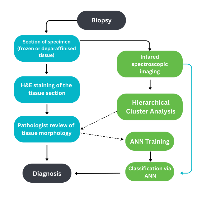 Medical Standard Operating Procedures | Nextech